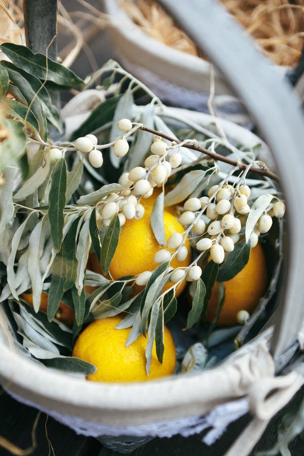 Lemons in a basket stock image. Image of vegetable, fresh - 175034601