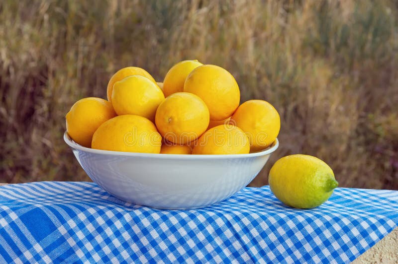 Lemons in the bowl stock image. Image of citrus, blinds - 83921207