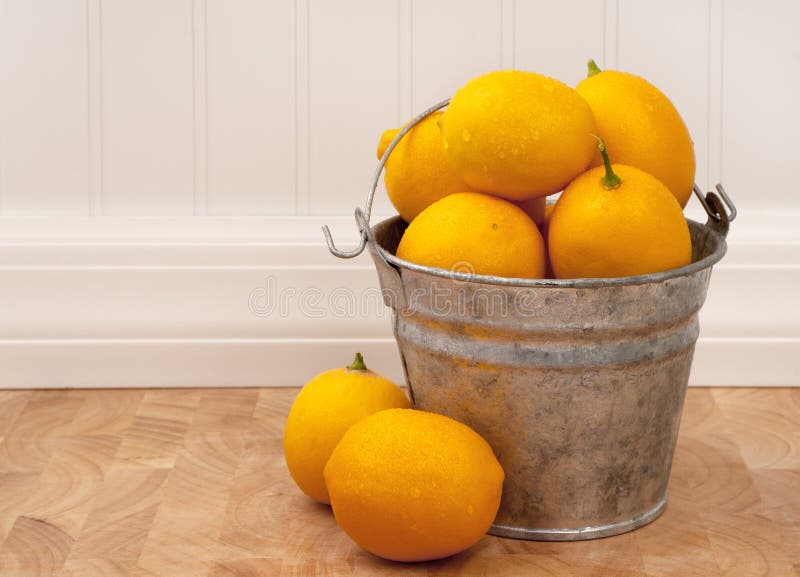 Lemons in a Bucket with Room for Text Stock Photo - Image of juicy ...