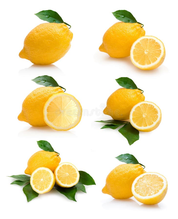 Lemons collection stock photo. Image of orange, fruit - 20054930