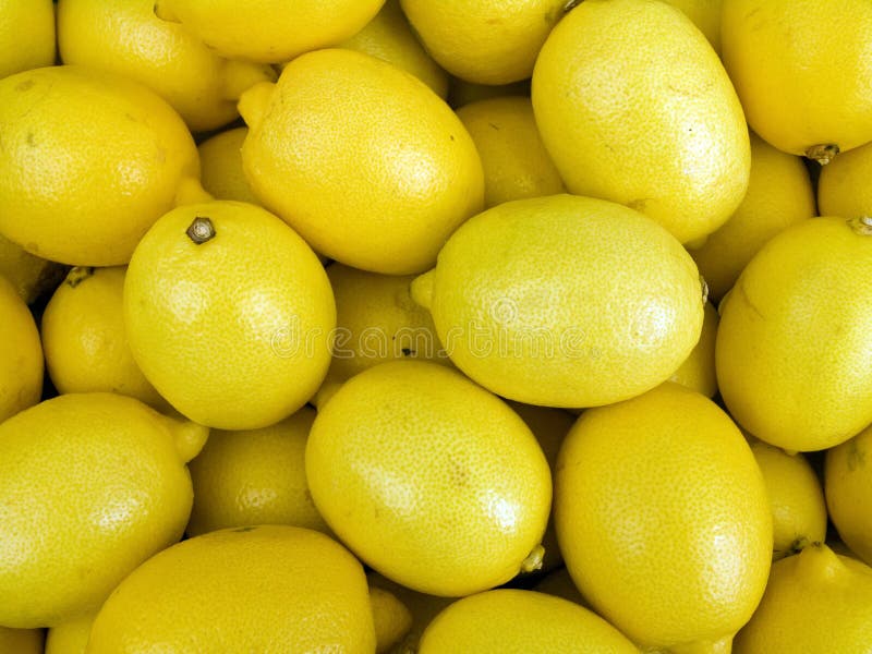 Lemons stock image. Image of lemon, fruit, bright, vivid - 2704591
