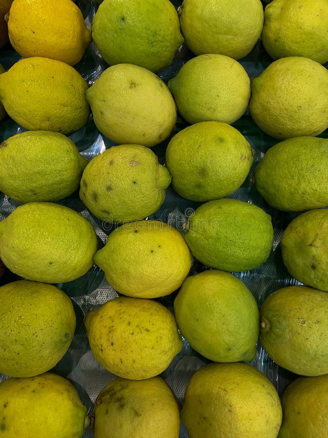 Lemons stock photo. Image of yellow, green, supermarket - 242794878