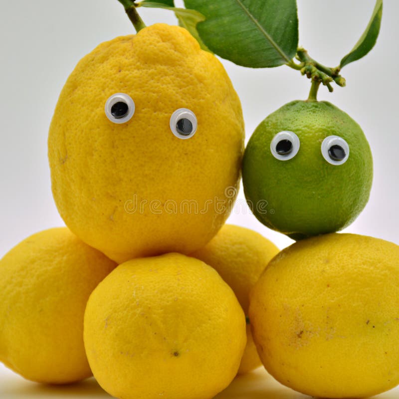 Two Lemons With Eyes Isolated Stock Photo - Image of talk, pair: 8851896