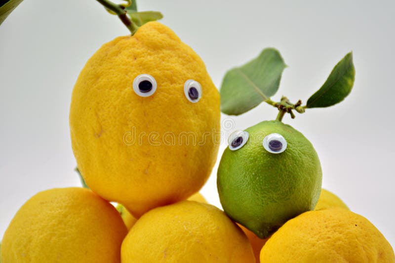 488 Lemons Eyes Stock Photos - Free & Royalty-Free Stock Photos from ...