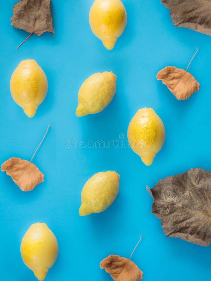 Lemons and Fall Leaves Pattern on Blue Stock Image - Image of fruit ...