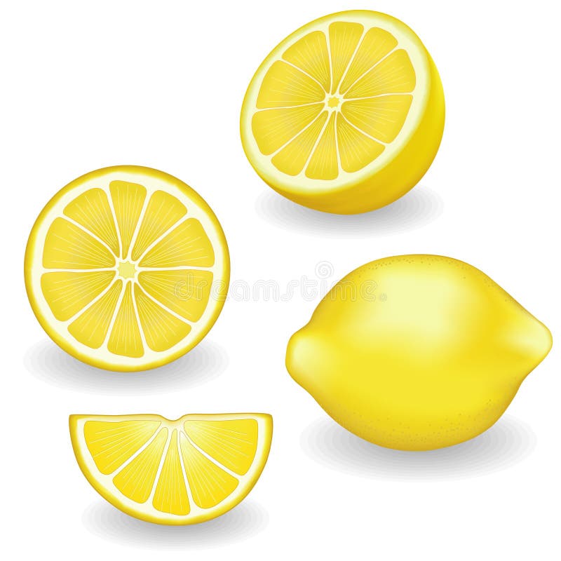 Lemons, Four views stock vector. Illustration of ingredient - 28083700