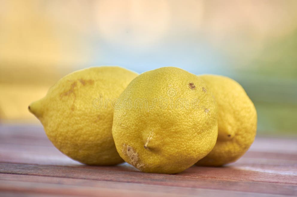 Lemons with Fruit in the Island of Lefkada 7 Stock Photo - Image of ...