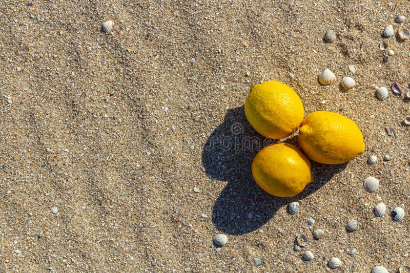 Lemons Lying on a Tropical Beach. Summer Beach Fruits Stock Image ...