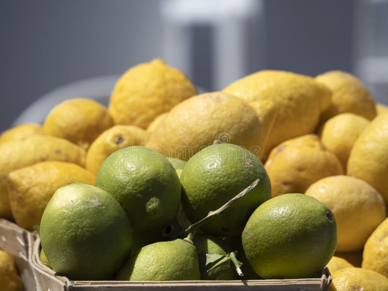 Lemons of Sicily on Display Stock Photo - Image of display, color ...
