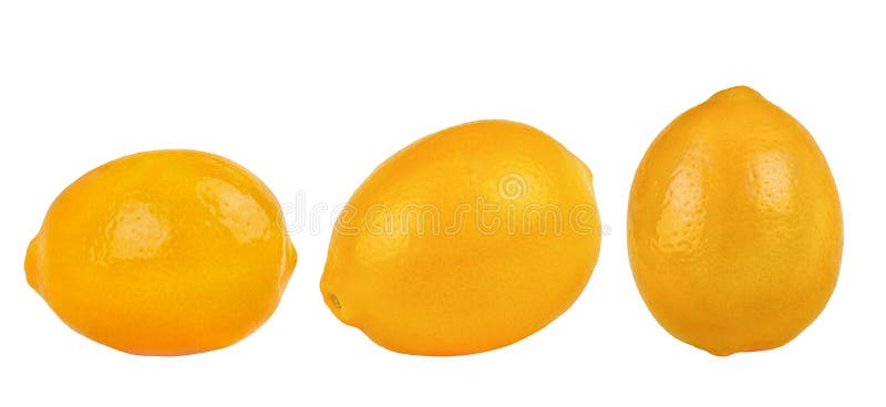 Lemons Side View on White. Set of Lemon Fruit Stock Image - Image of ...