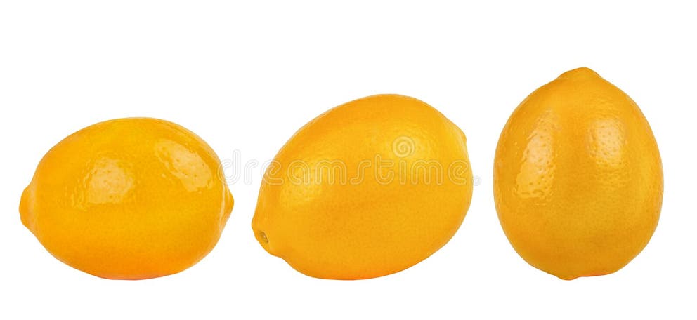 Lemons Side View on White. Set of Lemon Fruit Stock Image - Image of ...