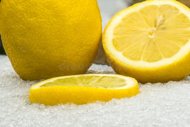 Lemons with Snow in the Garden Stock Image - Image of citrus, mellow ...