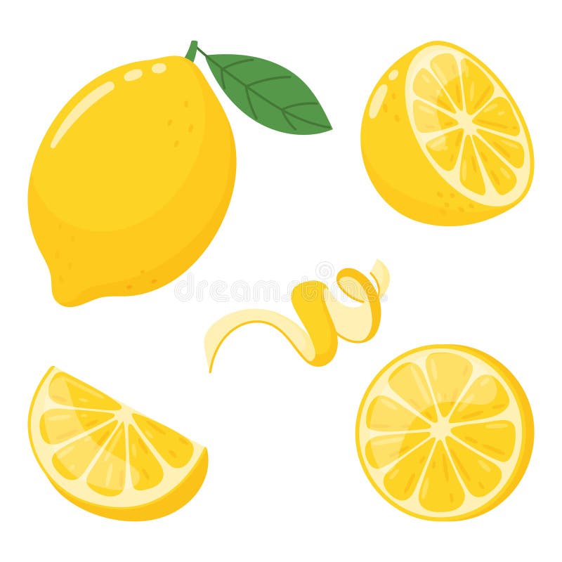 Lemons Vector Set, Various Lemons, Slices and Zest in Simple Flat Style ...