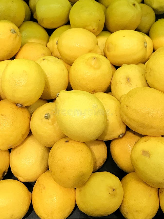 Lemons stock image. Image of food, isolated, farmer - 152286561