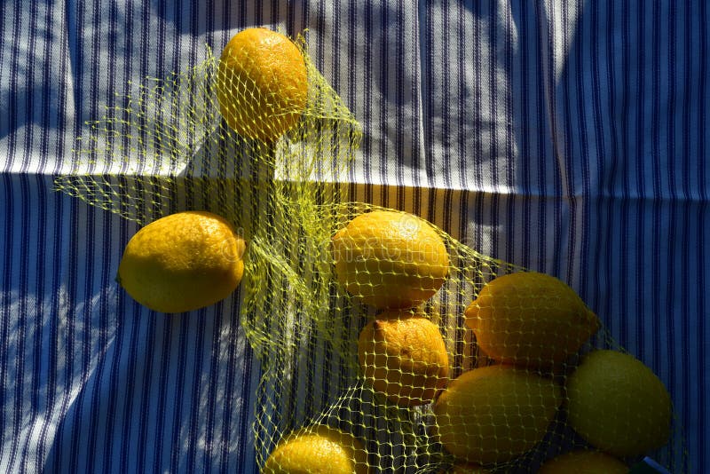 Lemons in yellow net bag stock image. Image of citrus - 102819777