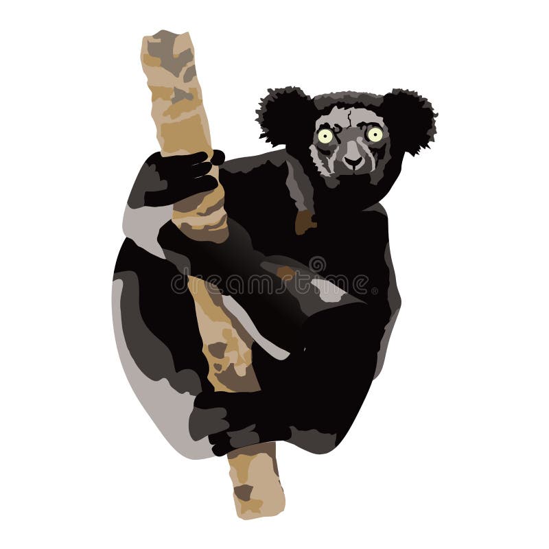 Indri Holding Stock Illustrations – 6 Indri Holding Stock Illustrations ...