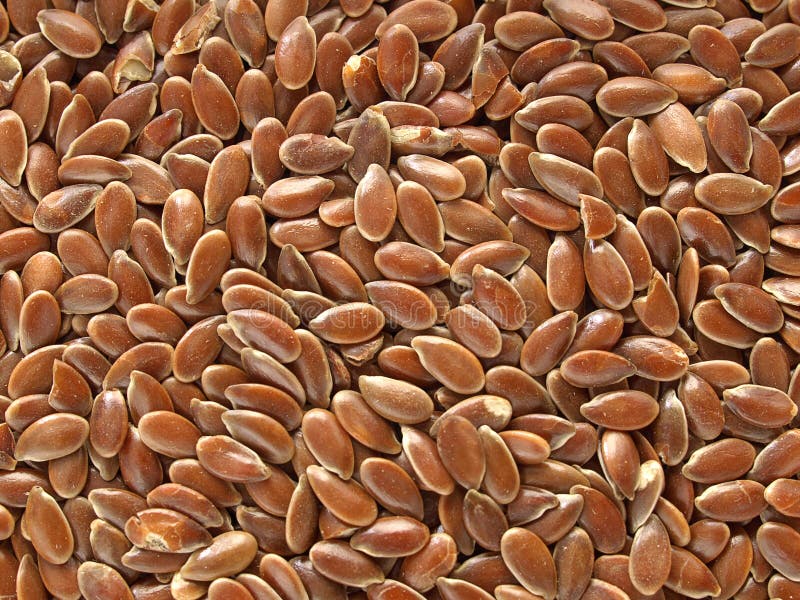 Len Obrazy Stockowe - Pobierz 61,050 Zdjęcia Royalty Free