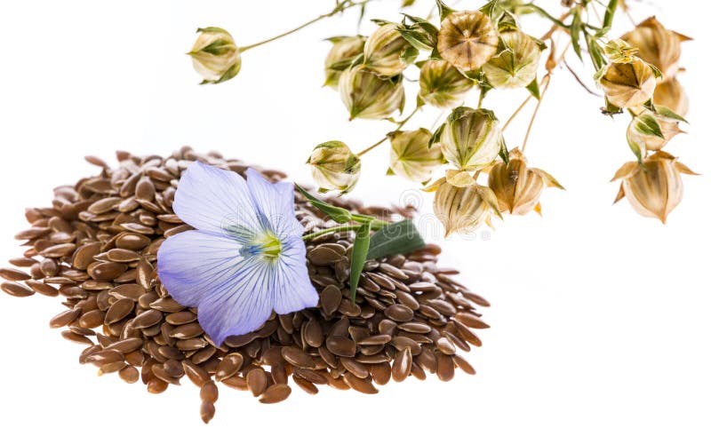 41,808 Len Zdjęcia - Bezpłatne i z licenncją Royalty-Free Zdjęcia od ...