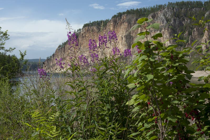 The Lena River stock photo. Image of siberia, irkutsk - 60109268