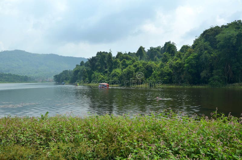 Lengkong Lake stock photo. Image of vacation, tree, forest - 85611640