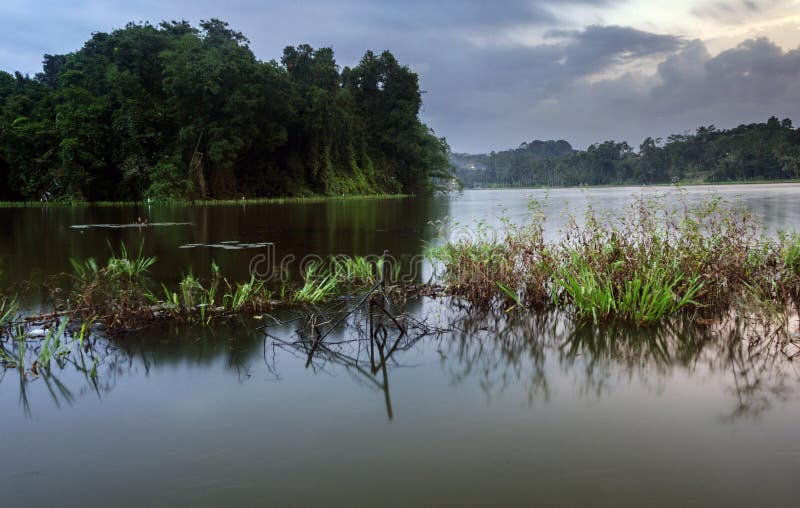 Lengkong Lake stock image. Image of watercourse, marsh - 85617091