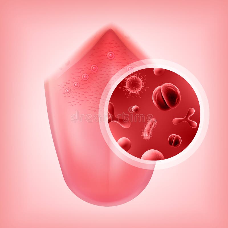 La Estructura De La Lengua Humana Ilustración del Vector - Ilustración ...