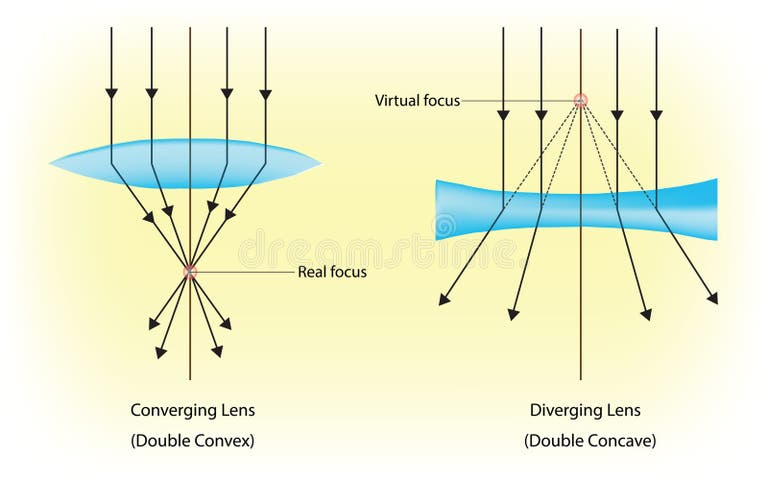 Converging and Diverging Lens Stock Vector - Illustration of chart ...