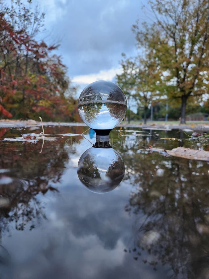 Lens Ball and Fall Rain Puddle Stock Image - Image of freezing, flower ...