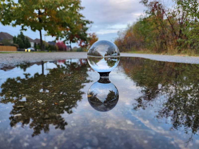 Lens Ball and Fall Rain Puddle Stock Image - Image of flower, ball ...