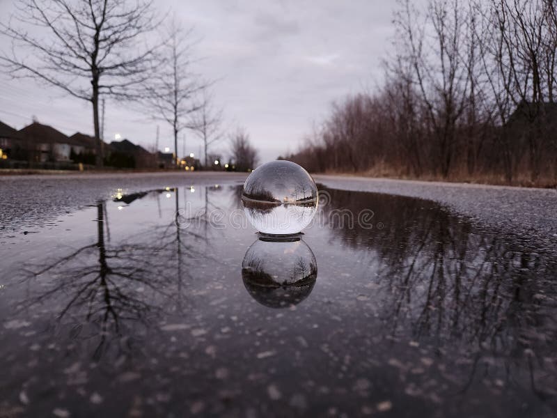 Lens Ball in a Pool of Water Stock Photo - Image of pool, branch: 284845782