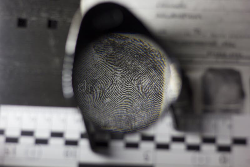 Lens, Fingerprints and Forensic Ruler on Fingerprint Card Stock Image ...