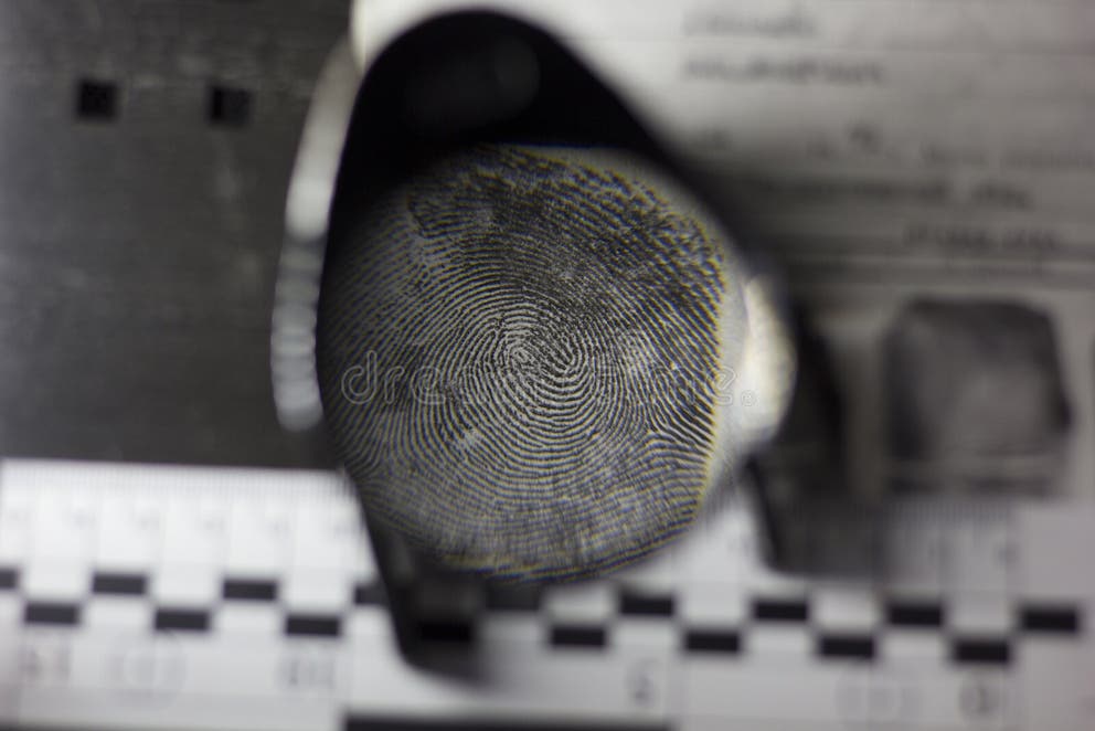 Lens, Fingerprints and Forensic Ruler on Fingerprint Card Stock Image ...