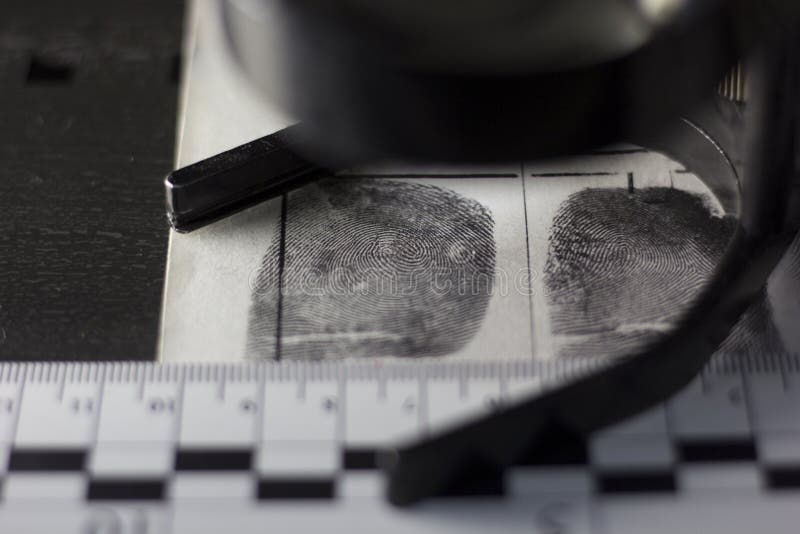 114 Forensic Ruler Stock Photos - Free & Royalty-Free Stock Photos from ...