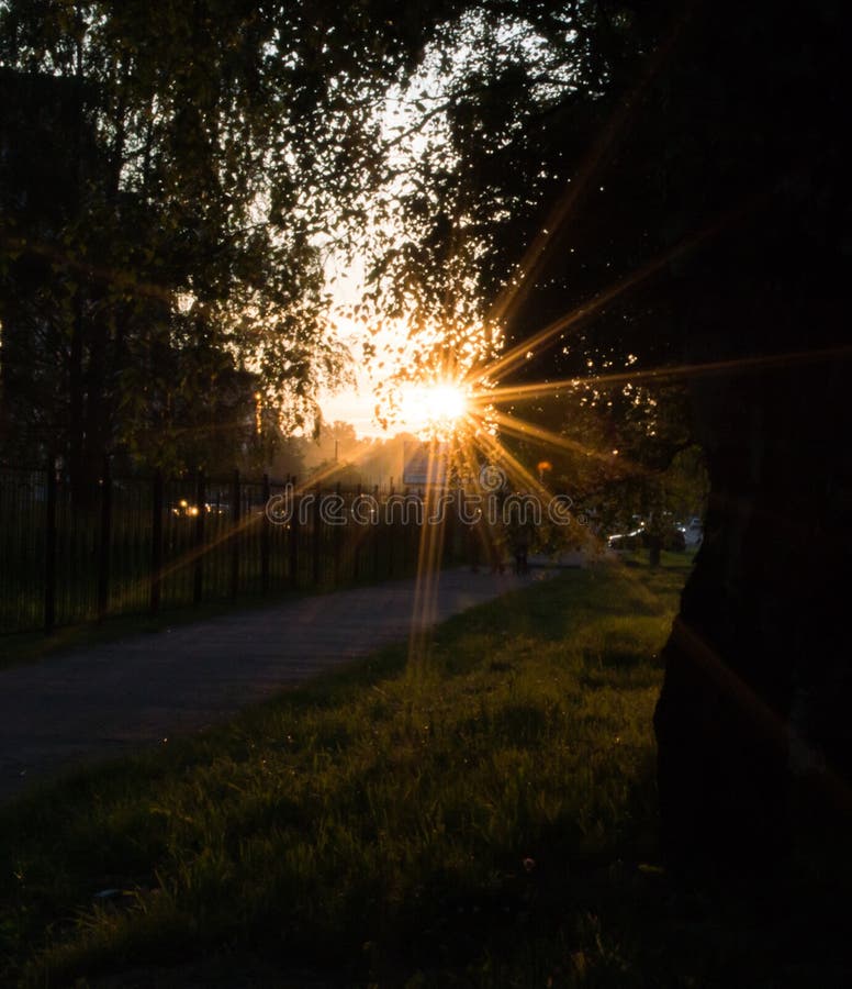 Lens Flare at Sunset. Fence, Sidewalk, Trees and Grass. Stock Photo ...