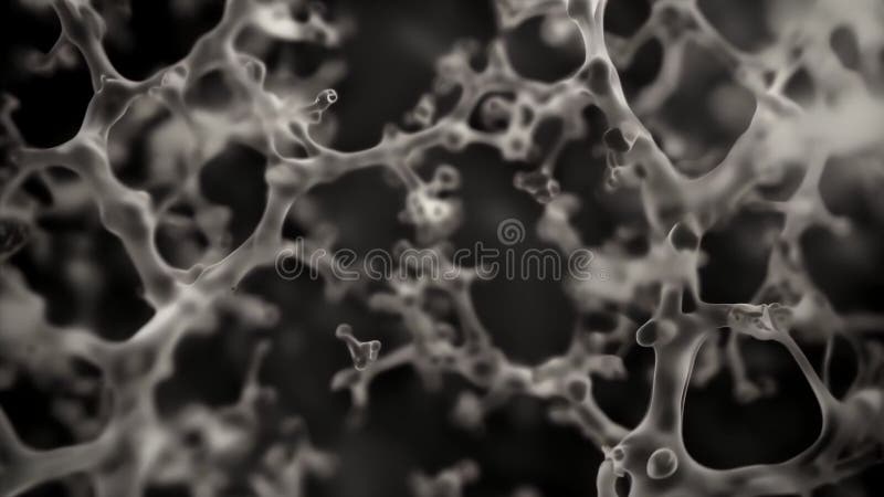 Through the Lens of a Microscope the Intricate Patterns of Fungal ...