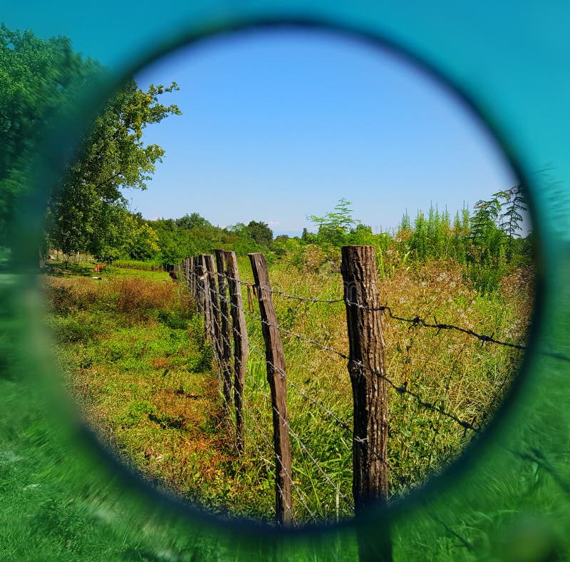 Through the lenses stock photo. Image of beautyofnature - 193533868