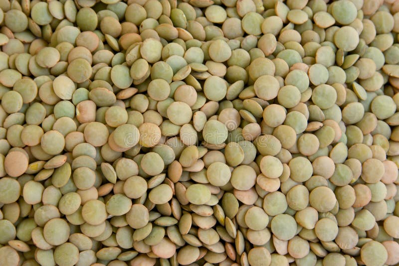 Lenticchia immagine stock. Immagine di sfondo, verdura - 25821681
