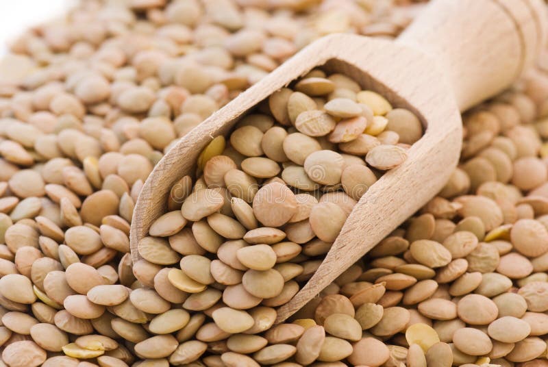 Lentil stock image. Image of lentil, vegetable, asian - 12460831