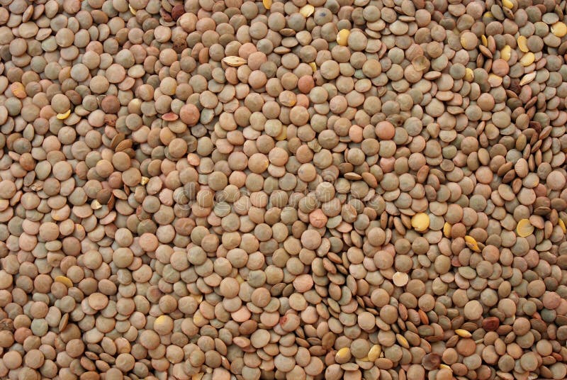 Lentil 15 stock image. Image of foodstuff, food, plant - 3758477