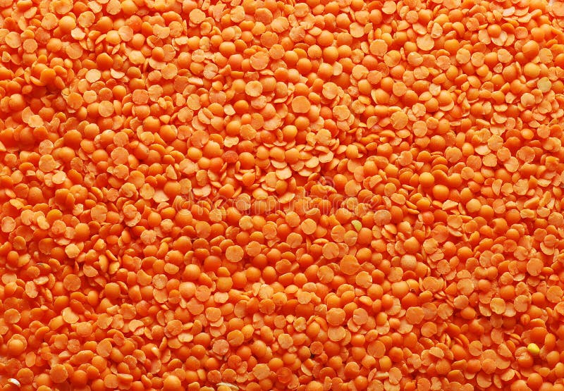 Lentil Background Picture. Image: 7945604