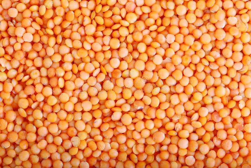 Lentil stock photo. Image of lens, close, health, healthy - 61700434