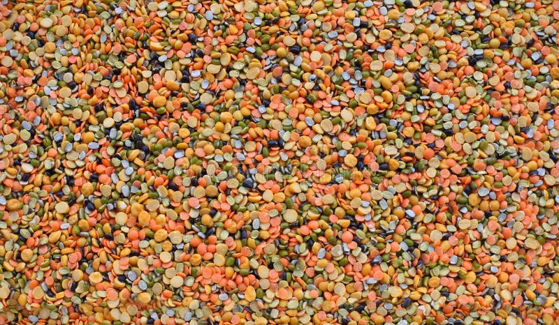 Lentil seamless texture stock photo. Image of particle - 38127468