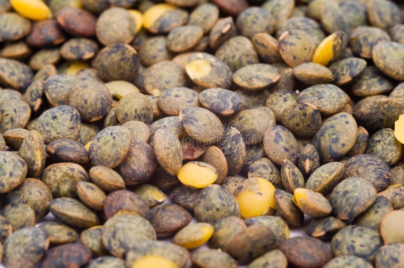 Lentil Seeds stock image. Image of dried, beans, vegetable - 1586811