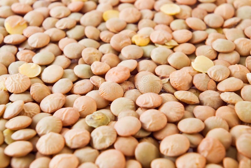 Lentil Seeds stock image. Image of dried, beans, vegetable - 1586811