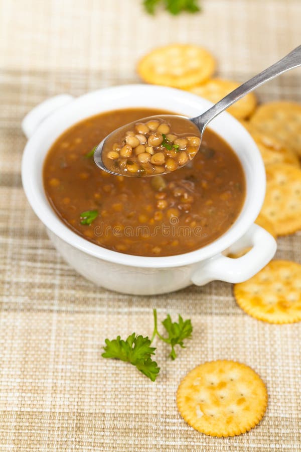 Lentil soup stock image. Image of lentil, green, celery - 36741589
