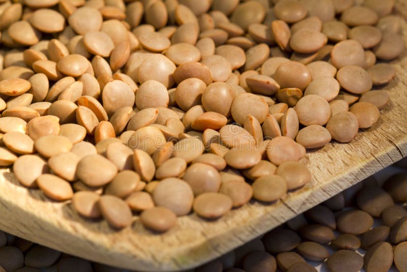 Lentil stock image. Image of healthy, legumes, lens, group - 39203063