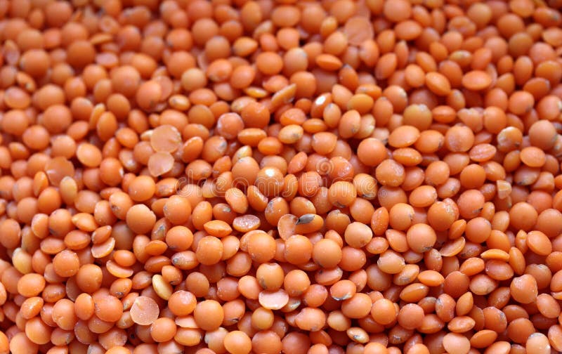 Lentille rouge photo stock. Image du graine, pois, contexte - 37817412