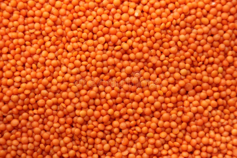 Lentilles rouges image stock. Image du texture, couche - 56396515