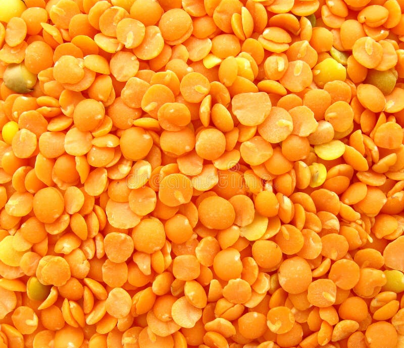 Lentilles rouges image stock. Image du rond, orange, rouge - 6175543