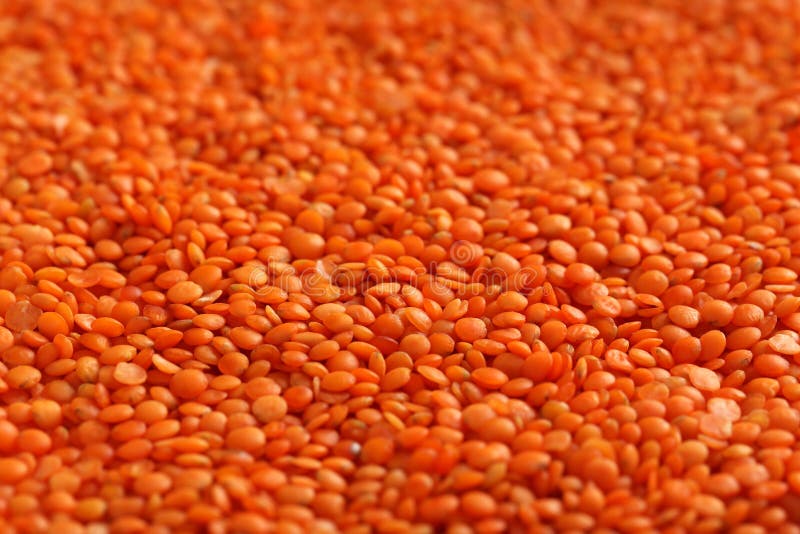 Lentilles rouges image stock. Image du haricot, nutritif - 64332455